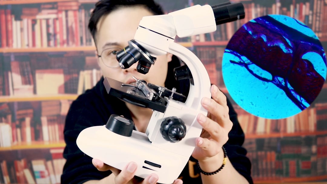 小伙开箱显微镜,终于踏进微生物的大门了