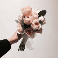 每日一个小实验 