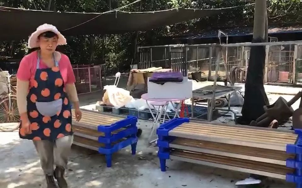 批量买下低价小床改变狗狗居住环境,爱心美女又来捐赠狗粮