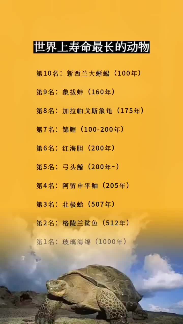 世界上寿命最长的动物#寿命 #动物 #世界之最 #每天跟我涨知识 #科普 ...