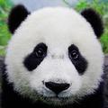 成都资讯 
