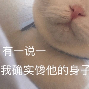 勤奋的小赛尔 