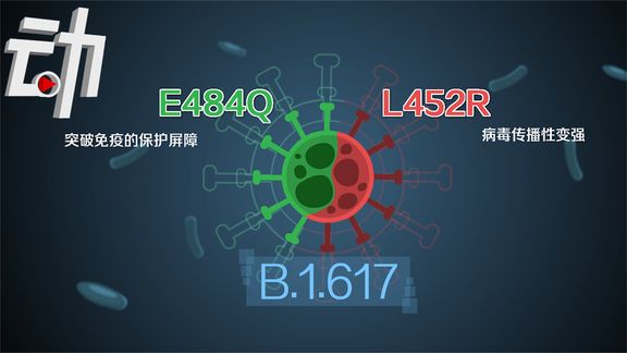 每分钟新增245例:印度“双突变”新冠为何被称“毒王”?