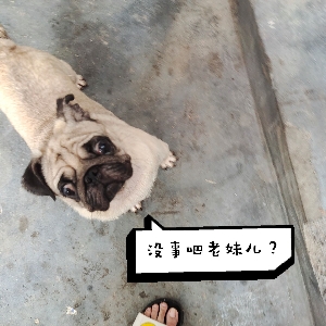 最爱的她已嫁 
