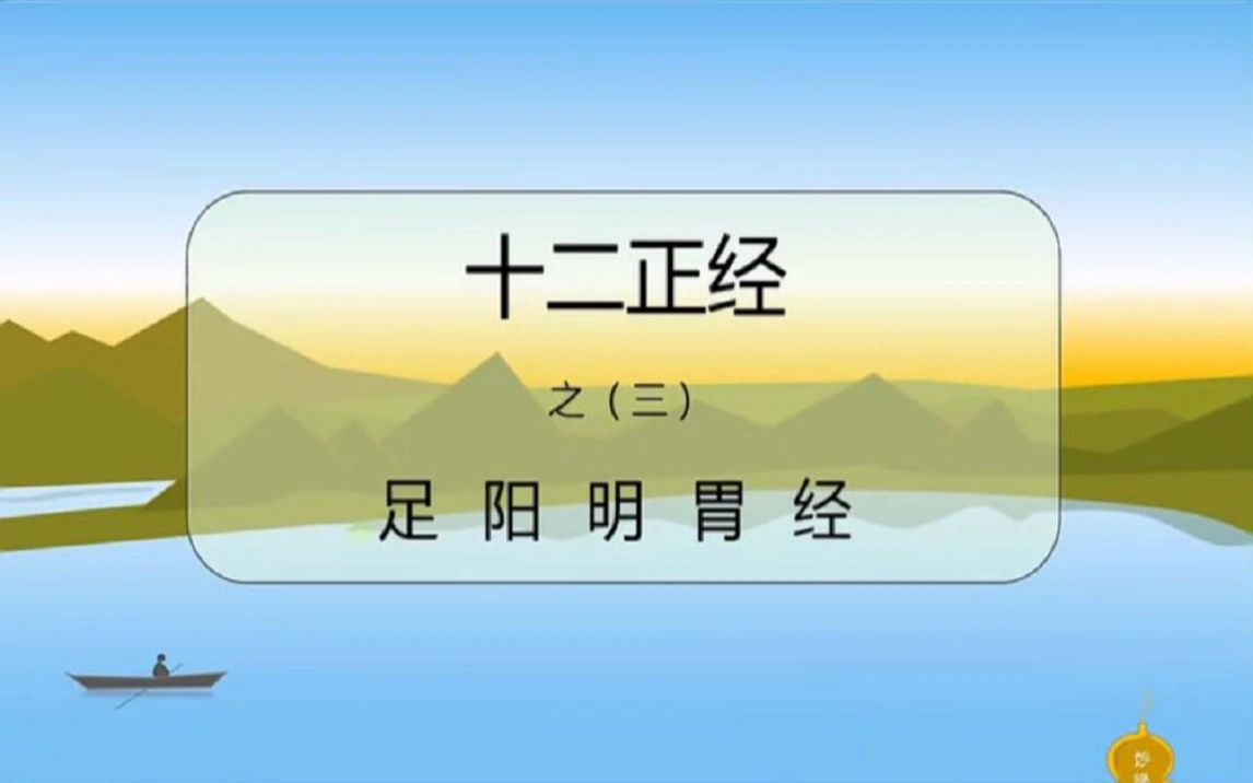 中医经络穴位全脑速记——十二正经(三)足阳明胃经