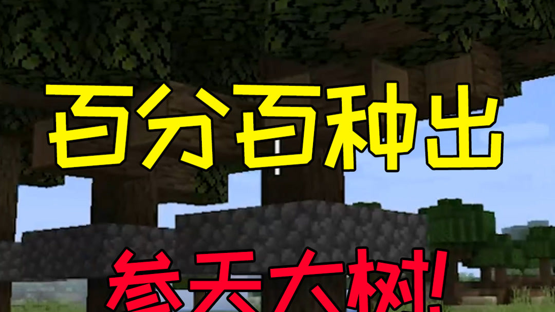 我的世界:原来这样种树效率能更高?学到了!