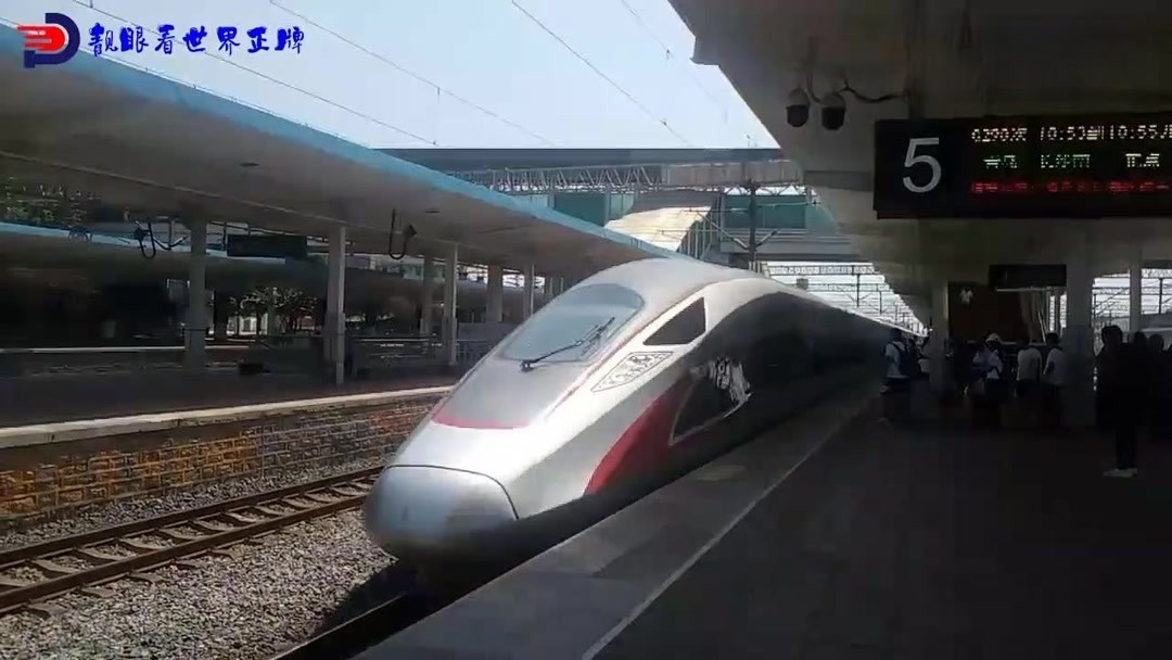 5站台,G290次列车,复兴号重联中途进站停靠,画面太美了