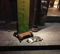 电脑知识解答 