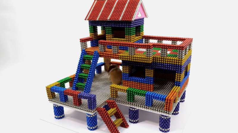 手工达人用巴克球给仓鼠DIY豪华房子,成品令人惊艳,过程超减压