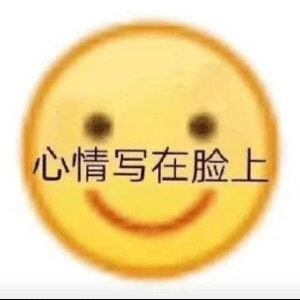 十一不是特捏捏 