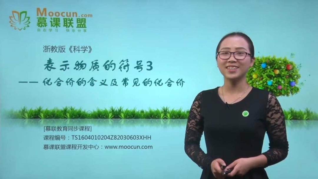2.6.3化合价的含义及常见元素的化合价