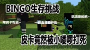 皮卡解说我的世界BINGO生存挑战