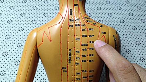 每天按揉天宗穴 可有效缓解乳腺增生 消除肿块