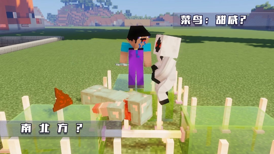 我的世界:你建我猜,南方的汤圆是肉馅的吗