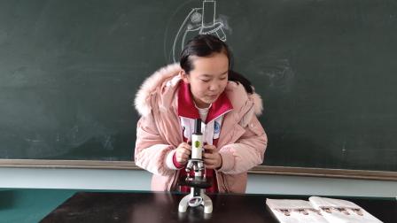 2018级“练习使用显微镜”VID20181226134144