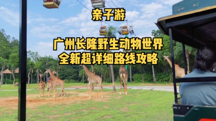 带宝宝去广州长隆野生动物园怎么玩