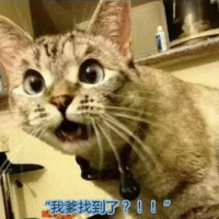 大侠李事事 