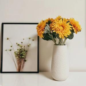数学欣欣老师 