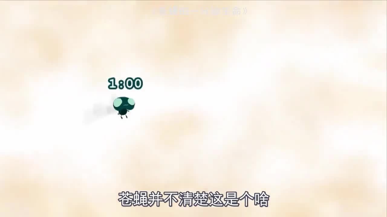 苍蝇只能活一分钟,于是赶忙用1秒钟结婚,用2秒钟繁殖后代
