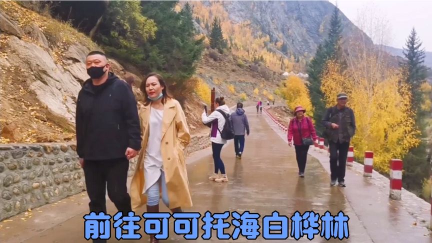 漫步在新疆可可托海白桦林,感受北疆秋季美丽的人文自然