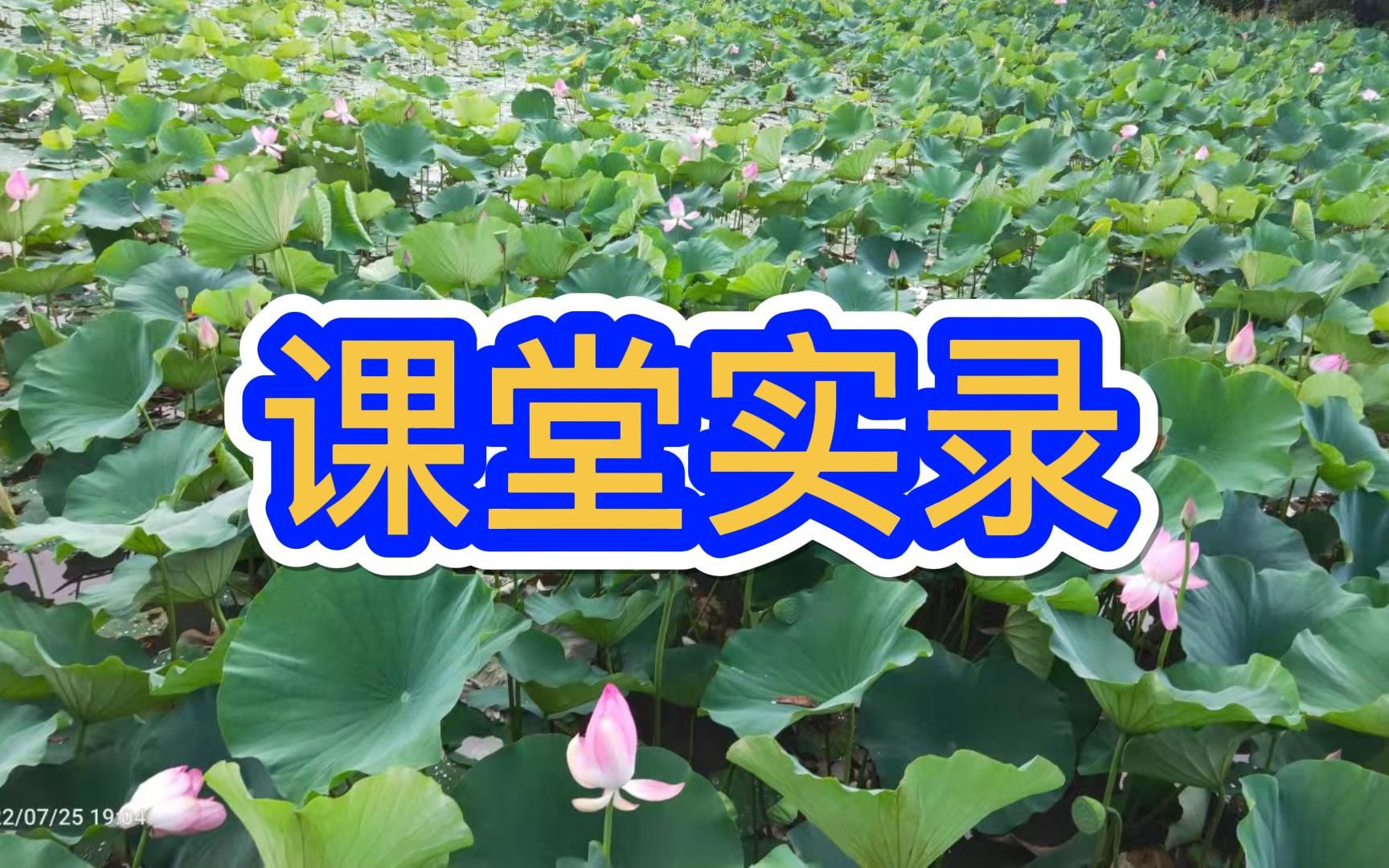 4.3牛顿第二定律