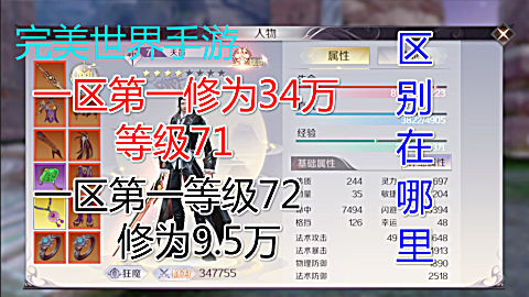 完美世界手游:一区等级第一72级,那又如何?我71级有34万修为