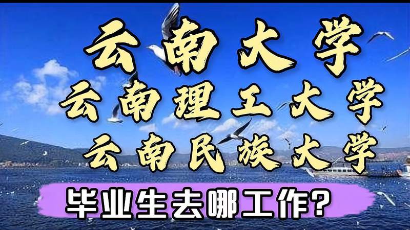 云南高校1:云南大学,云南理工大学,云南民族大学就业解读