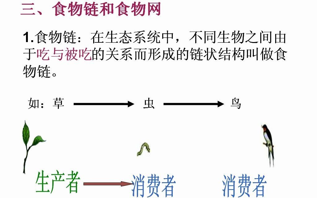 生物微课—《生物与环境组成生态系统》微课