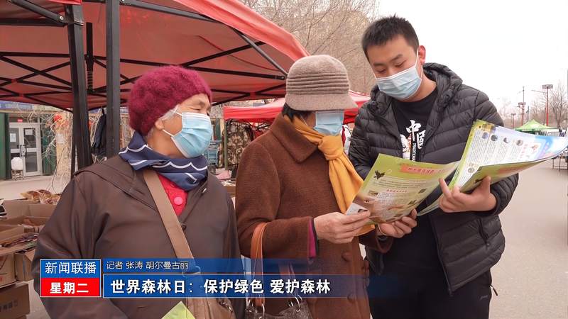 世界森林日:保护绿色 爱护森林