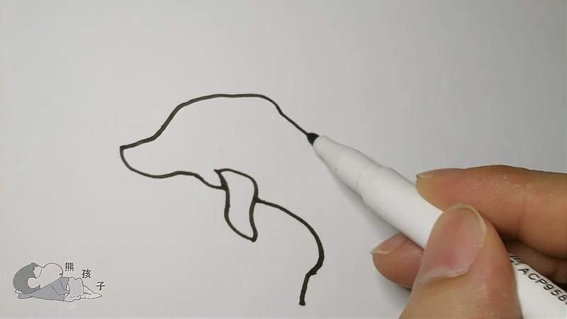 简笔画:海豚可爱吗?