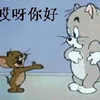 每日趣玩 