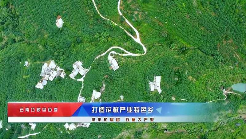 ...云南省昭通市巧家县包谷垴乡地处牛栏江南岸,全乡林业用地面积约...