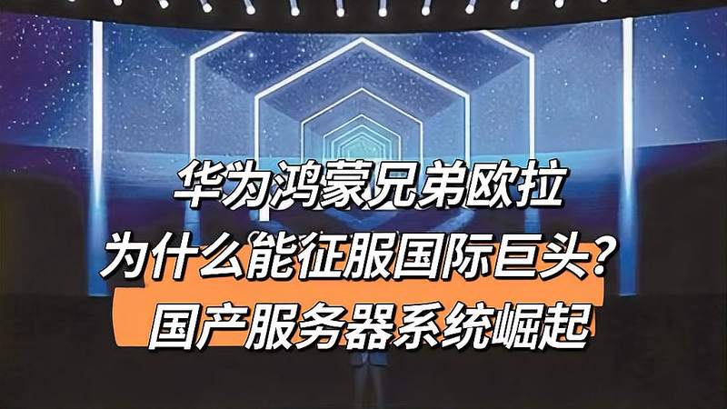 华为鸿蒙兄弟欧拉,为什么能征服国际巨头?国产服务器系统崛起