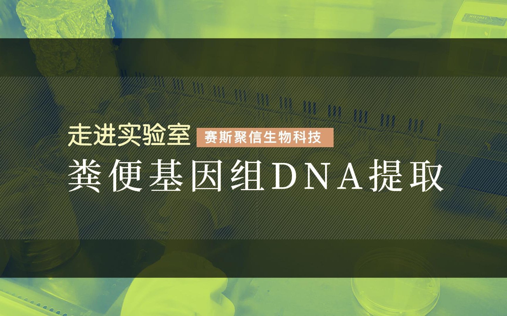 粪便基因组DNA提取③