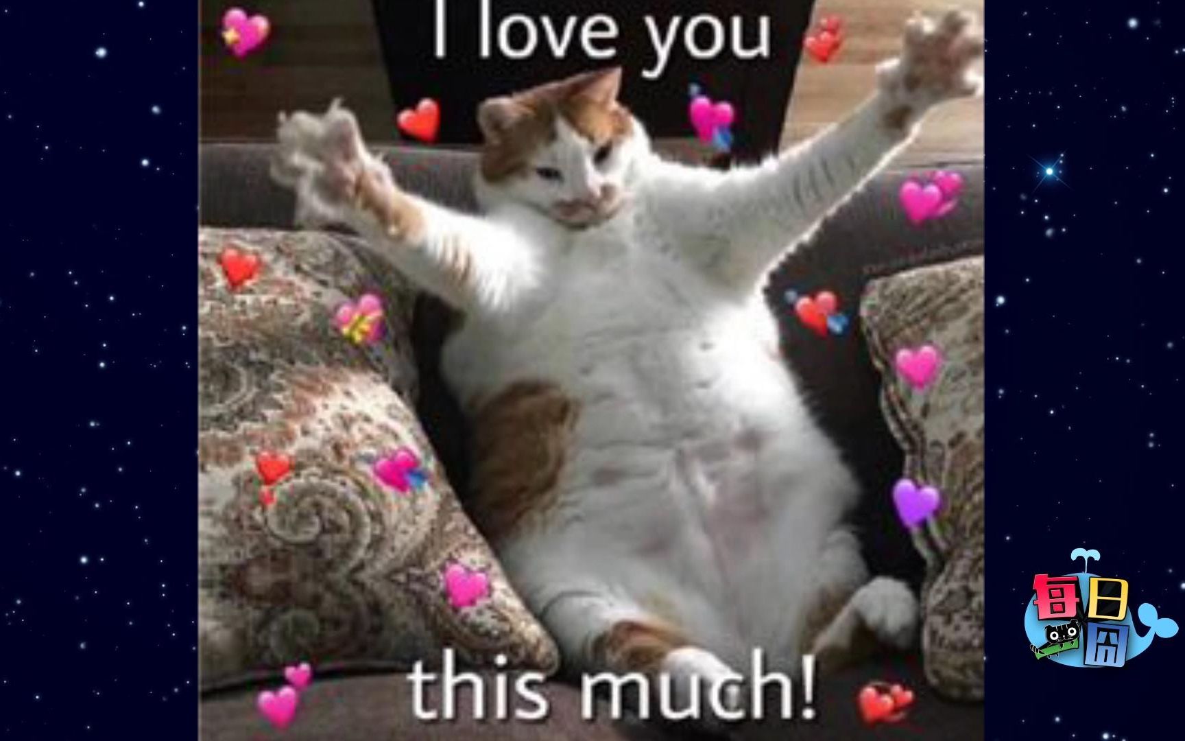 【每日一囧】要男朋友有什么用VS要女朋友有啥用处?