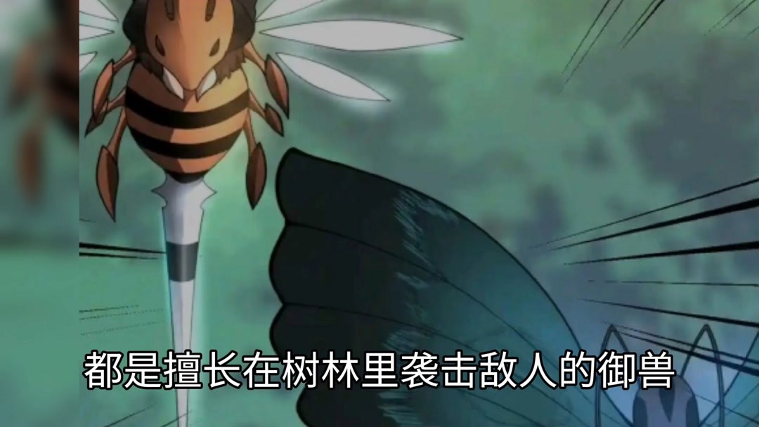 神宠进化第九十二集,动漫解说