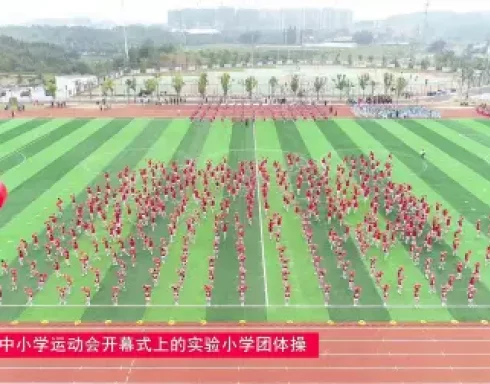 2019中小学运动会开幕式上的实验小学团体操
