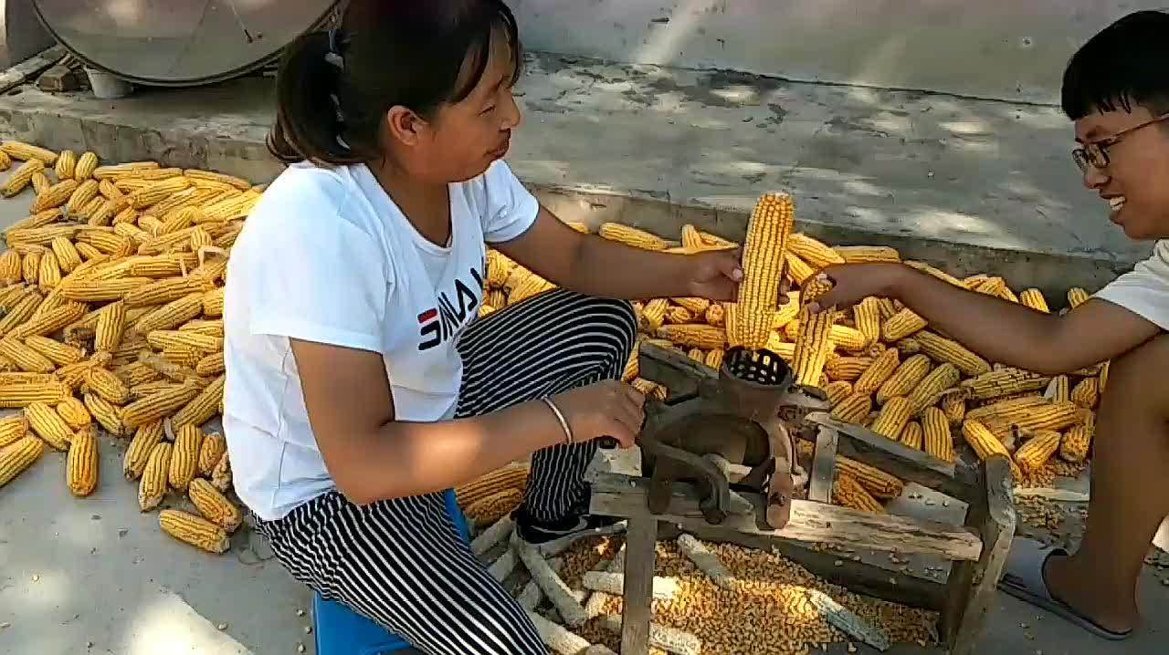 玉米棒晒干了,看她用了啥神器大家都没见过吧,分分钟钟就搞定