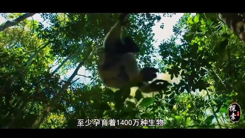 地球的演化史,直观感受生命的起源和演变过程!(第一集)共七集