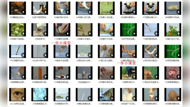 物理实验 化学实验 视频动画 人教版初中 操作演示 课堂教学 学生