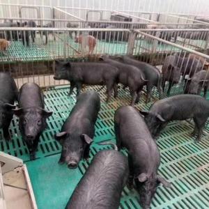 达成养殖设备经营部 