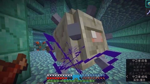 我的世界1.14生存50:远古守卫者已经全部消灭,海底神殿彻底征服