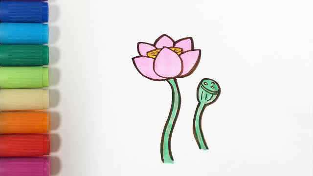 儿歌多多儿童简笔画 荷花 处暑时节学画高雅的荷花