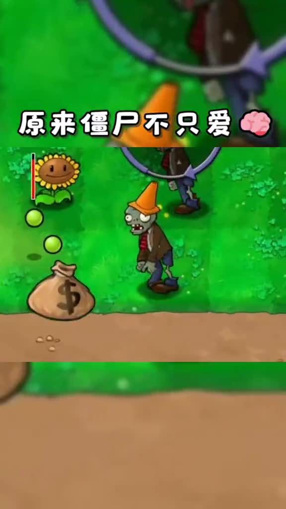 植物大战僵尸:我从未见过如此厚颜无耻之尸!