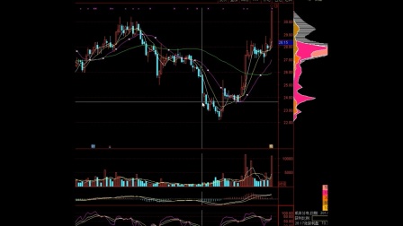 技术指标精解之KDJ指标,短线买卖点,基础入门,股票绝技(000000000-...