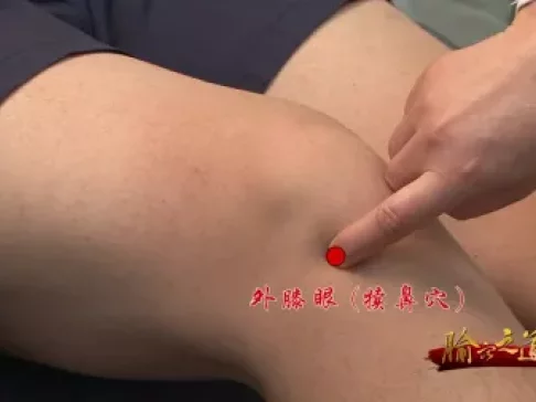 上巨虚-治疗腹泻之法