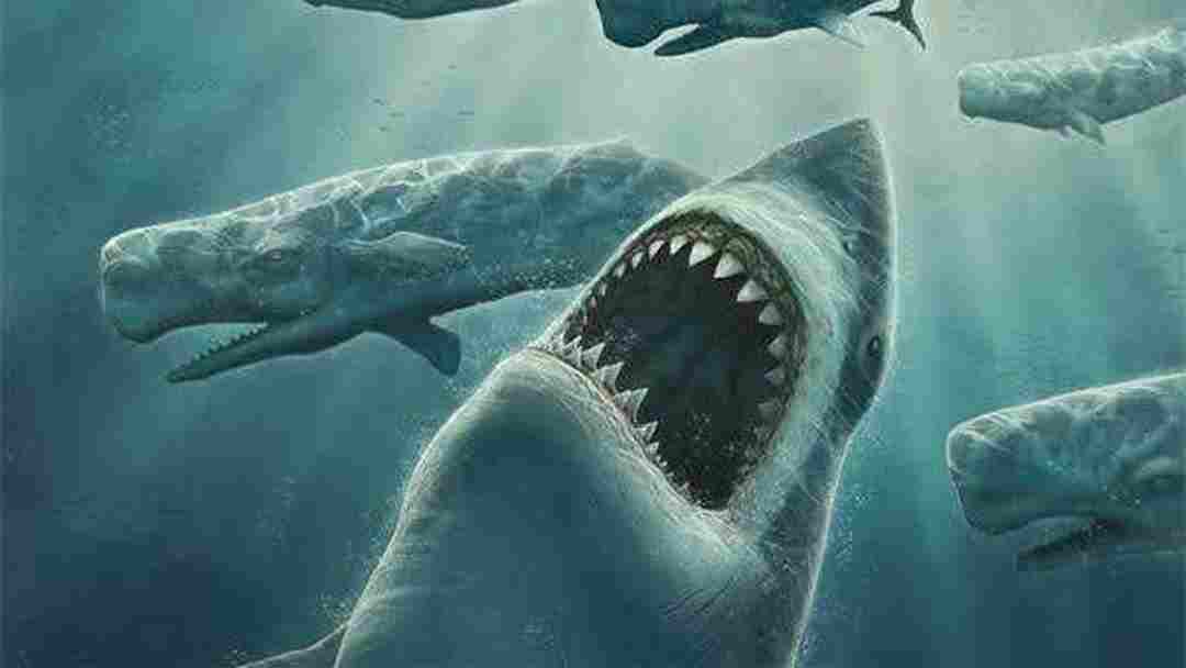 世界上仅存的深海异形怪兽 精灵鲨进化1亿年留存至今