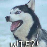 废土霸主老狗肉 