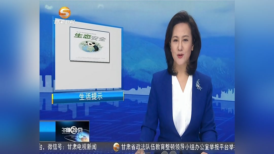 生活提示:维护国家安全 我们应该怎么做?