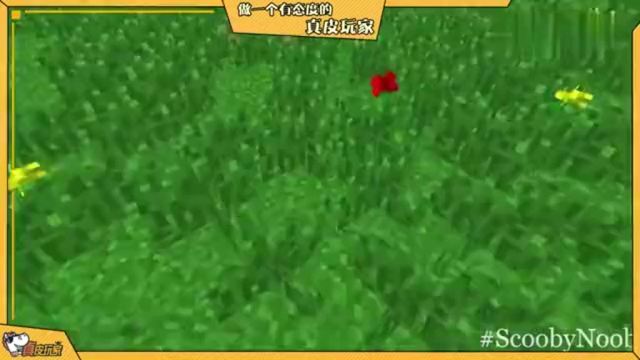 我的世界动画短片:NOOB可以选择适当的杆来打开稀有钻石门吗?